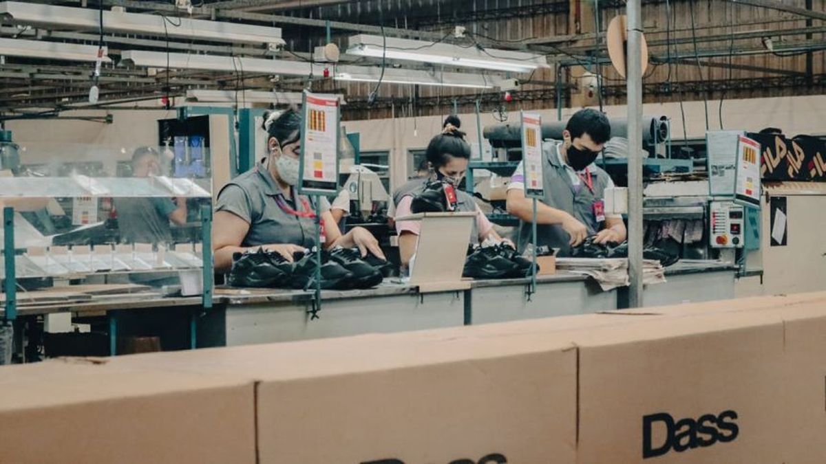 Sin acuerdo por los 360 despidos en Dass: Si quieren importar y no ...